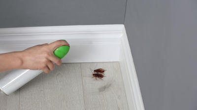 Bay Area Pest Control | Bay Pest Solution Inc.